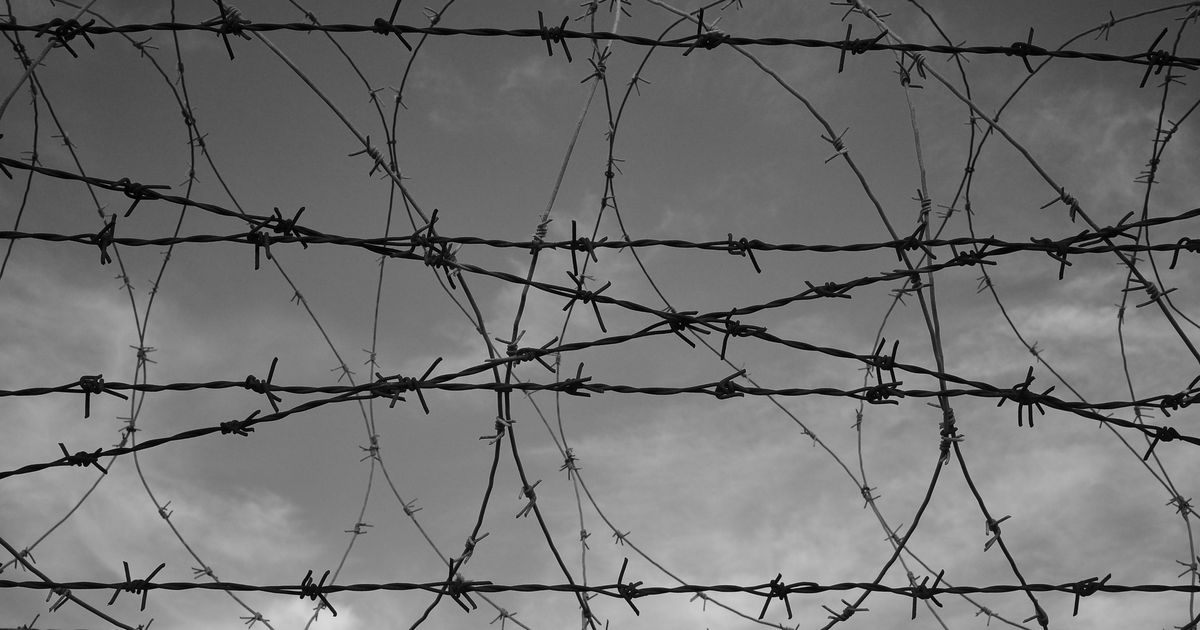 Refugee rights organisations say Minister O’Callaghan and Brophy’s new ...